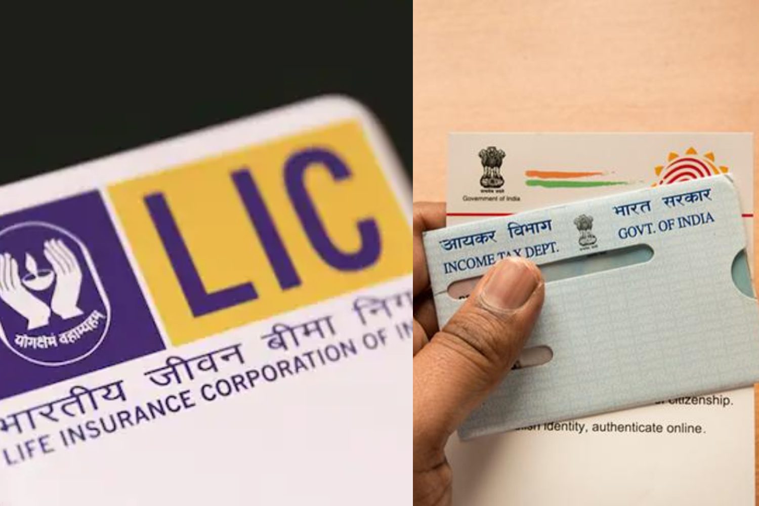 LIC-PAN Linking: 31 मार्च से पहले अपनी LIC पॉलिसी से पैन को लिंक करना जरूरी