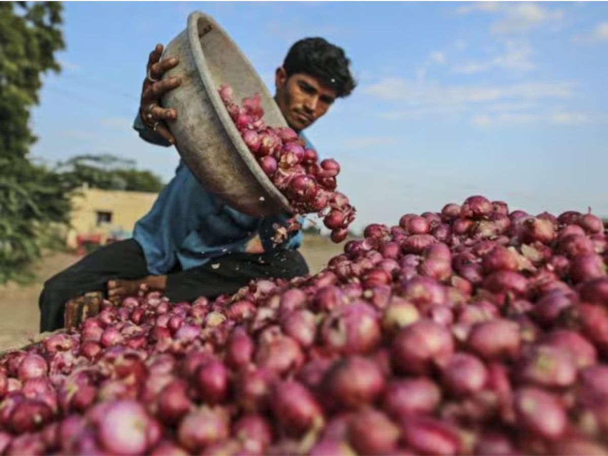 Onion Buffer Stock: सरकार बफर स्टॉक के लिए पांच लाख टन प्याज खरीदने की बना रही योजना - onion ...